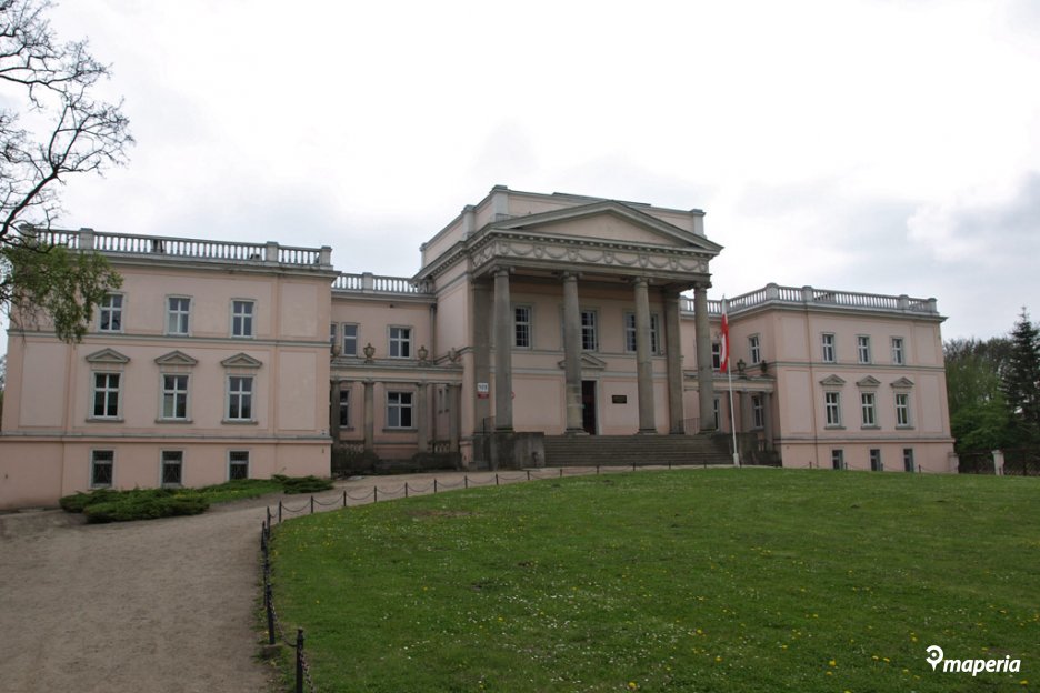 Pałac w Miłosławiu, Miłosław (Zamki i pałace)